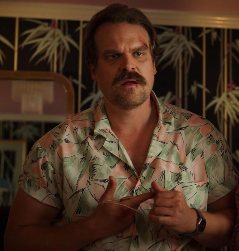 Who's That Bear?... David Harbour - Bear World Magazine