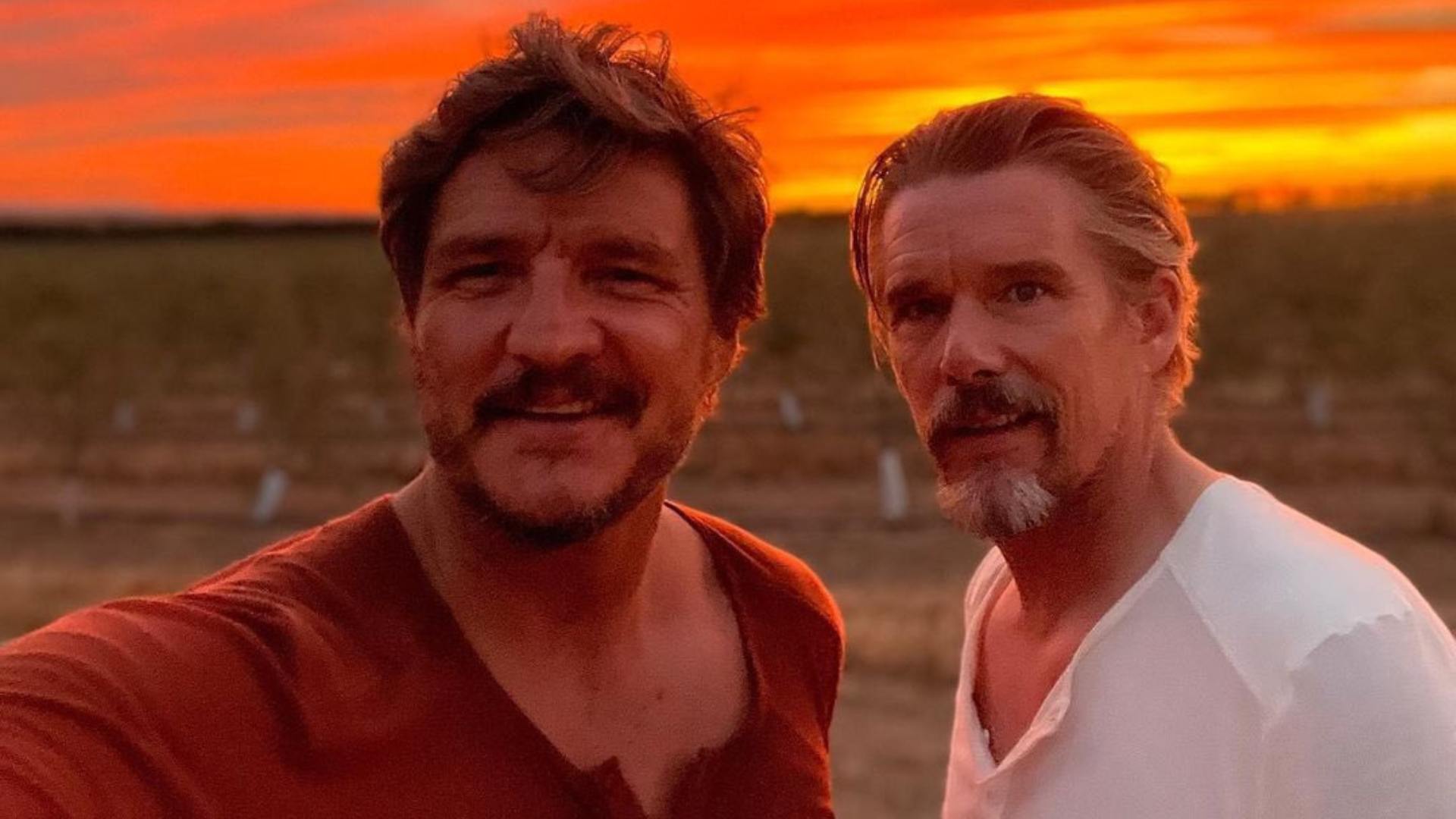 Pedro Pascal and Ethan Hawke to serve us lots of Daddy energy in ...