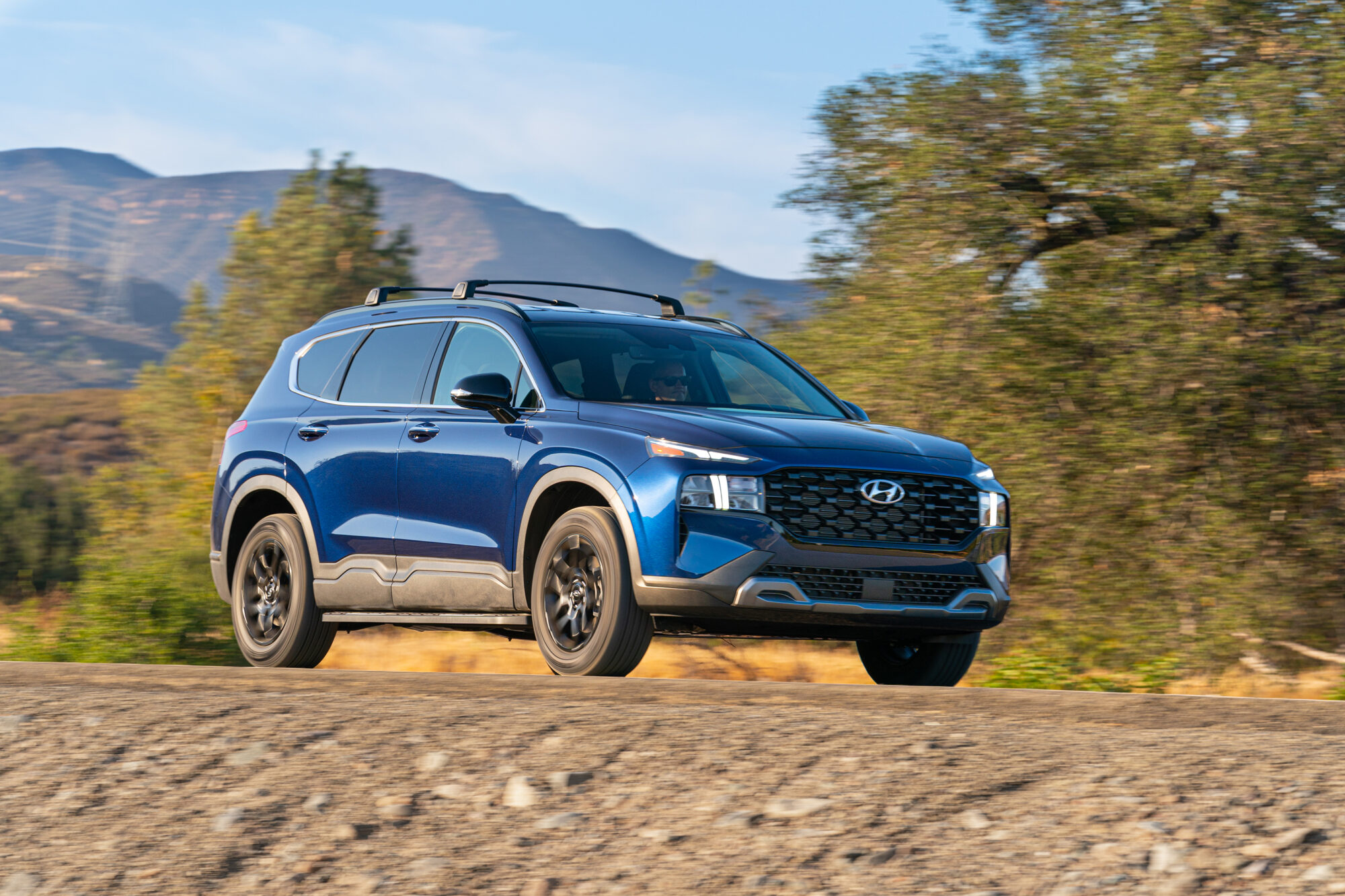 2023 Hyundai Santa Fe: The Road-Trip Car for Bears! - Bear World Magazine