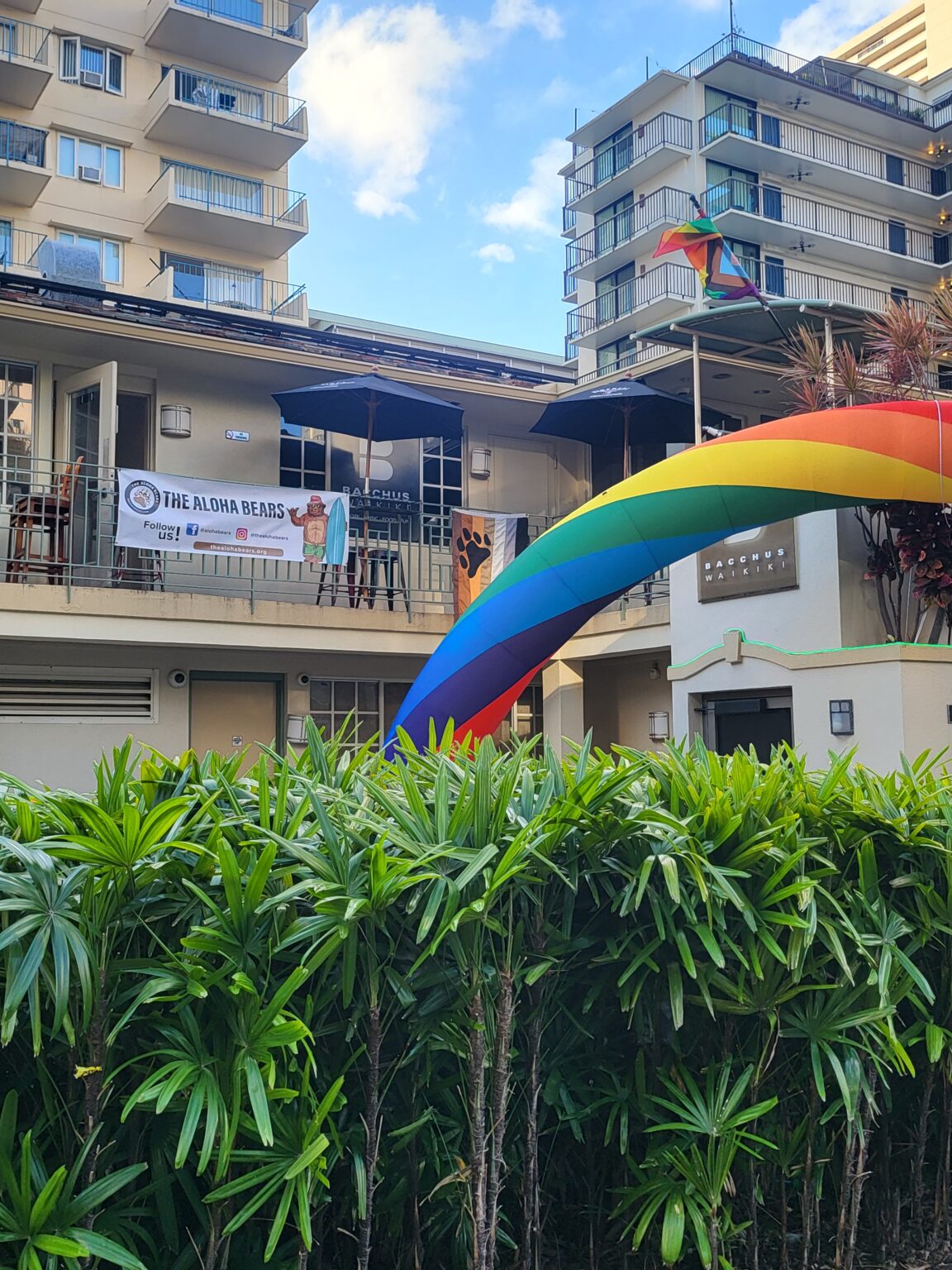 The Aloha Bears are the Embodiment of the Aloha Spirit - Bear World ...