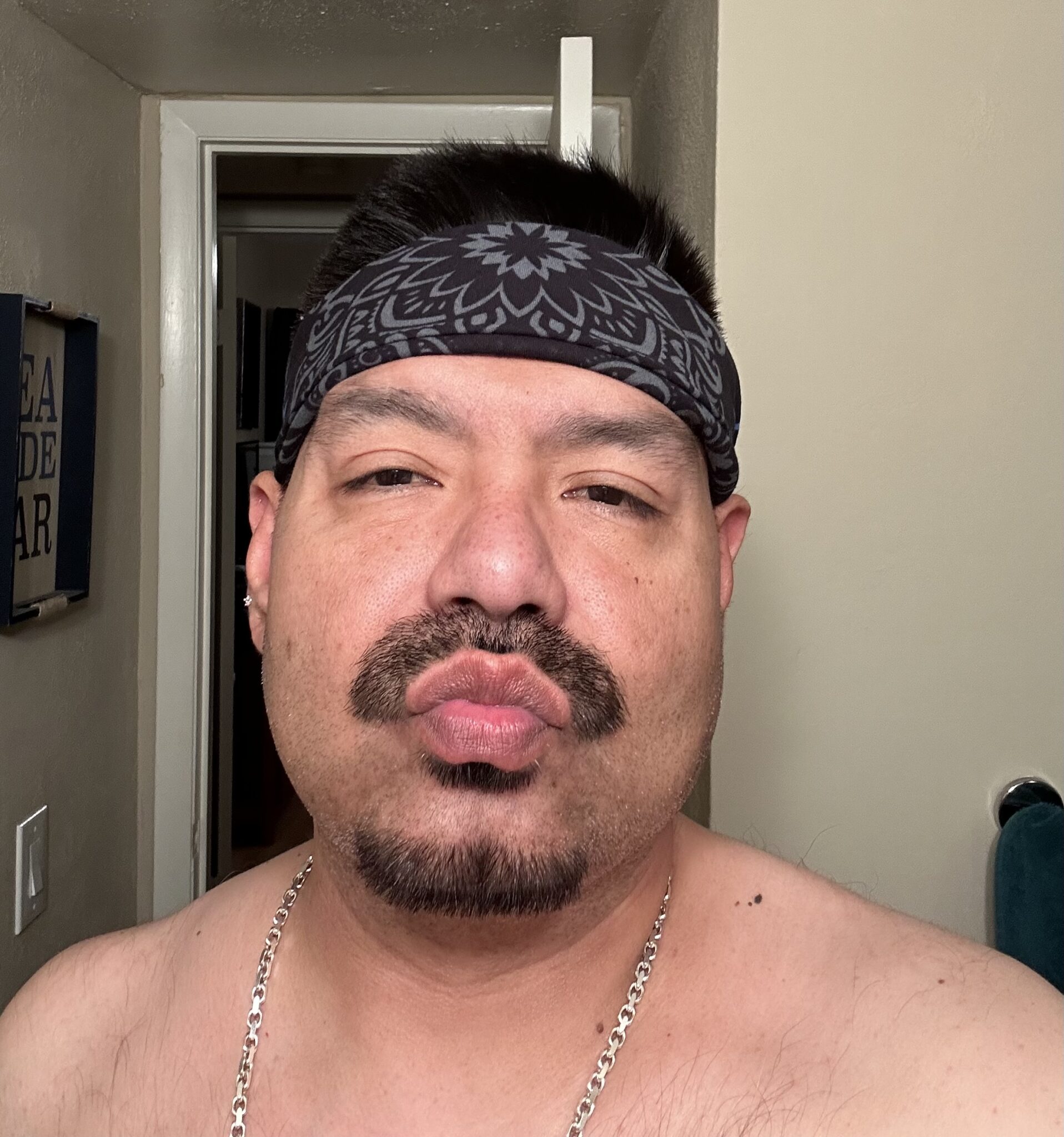 Instabear of the Week: Vinny - Bear World Magazine